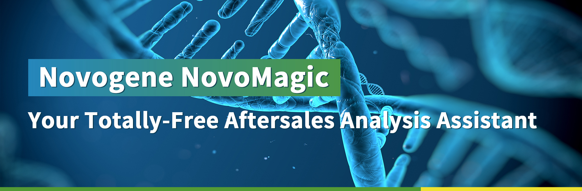 NovogeneAftersalesPlatform-Novomagic